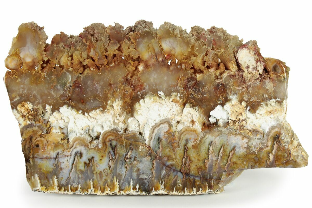 Graveyard Point Plume Agate – CASLAP